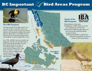 Important Bird & Biodiversity Areas (IBA) - BC Nature
