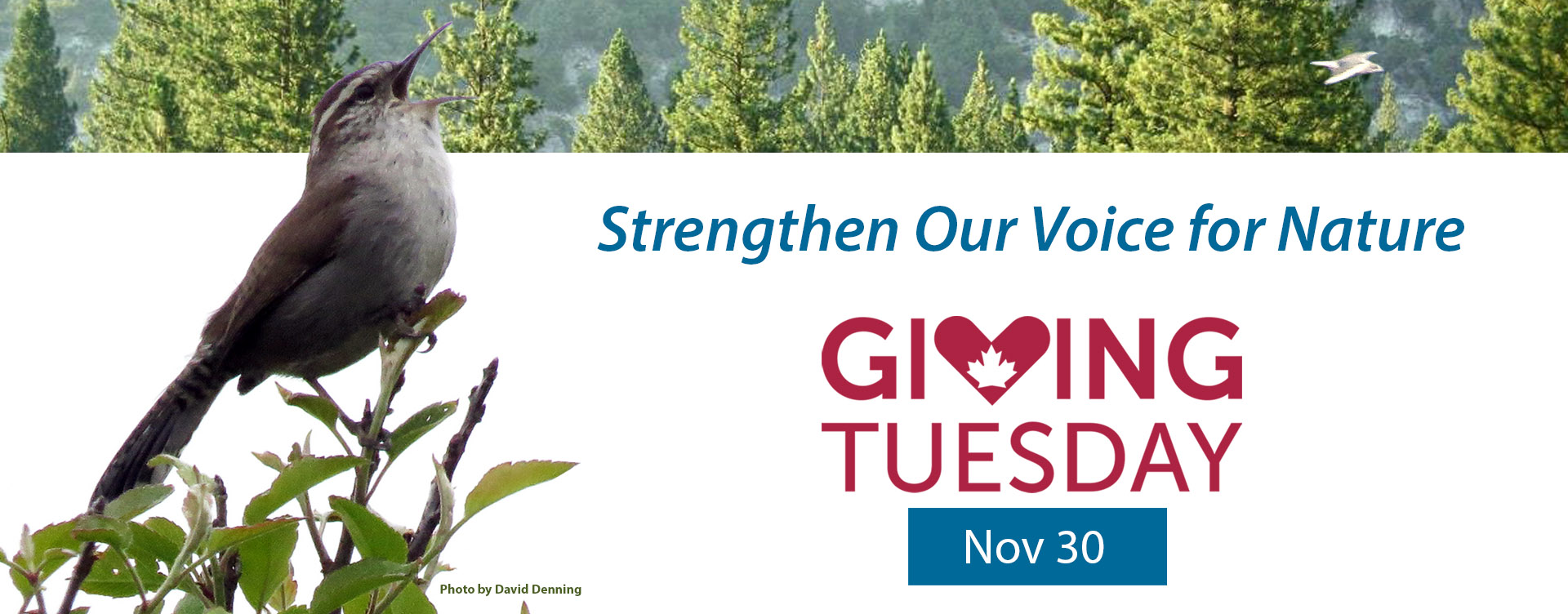 Giving Tuesday 2021 - BC Nature