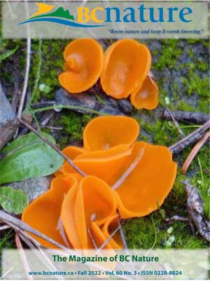 Fall Magazine 2022 - BC Nature