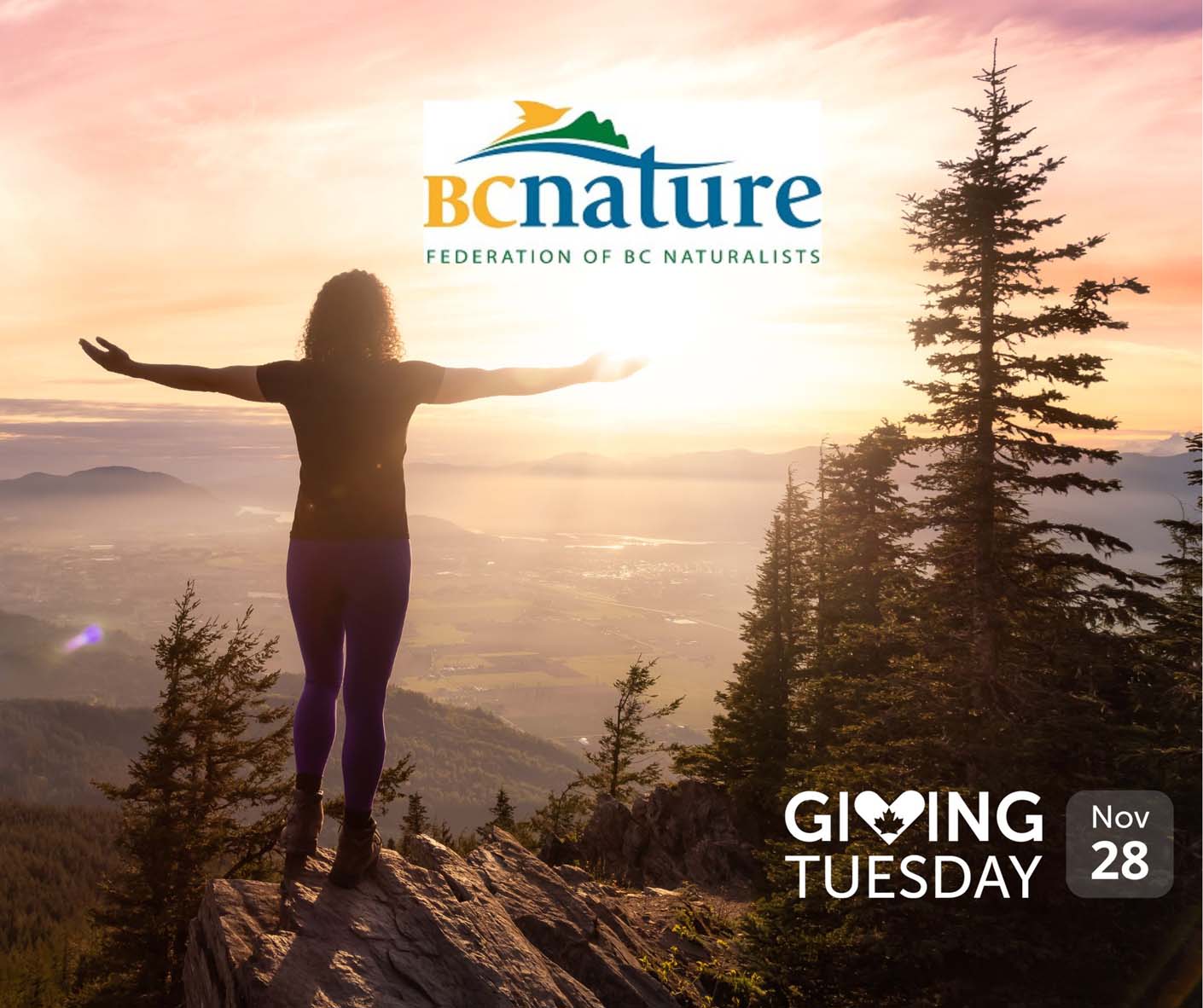 Donate - BC Nature