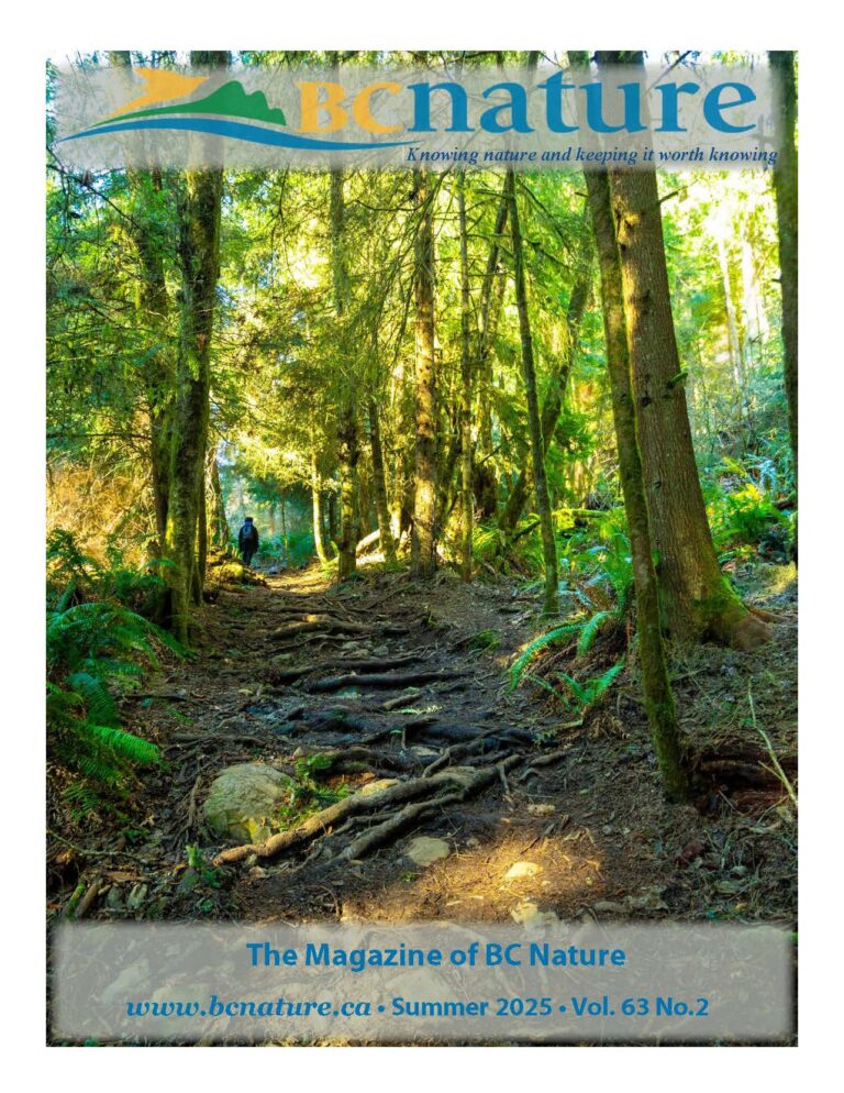 BC Nature Summer Magazine 2025 - BC Nature