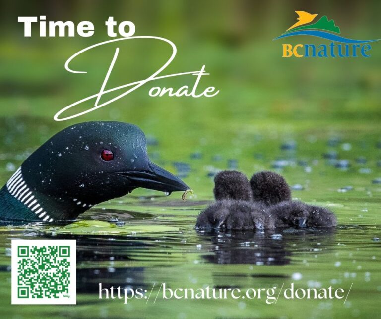 BC Nature - BC Nature